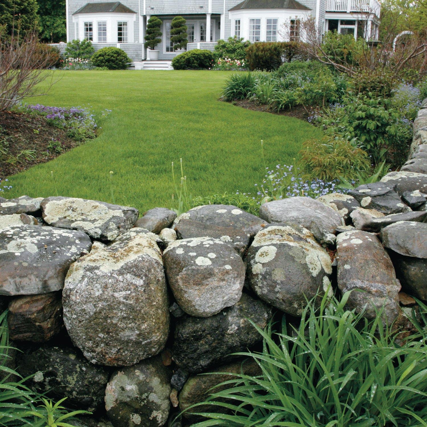 Stone Search Tools IG - Stone Curators