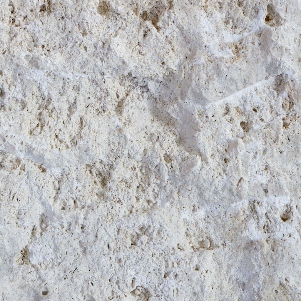 Limestone - Classic Coral Stone | Stone Curators