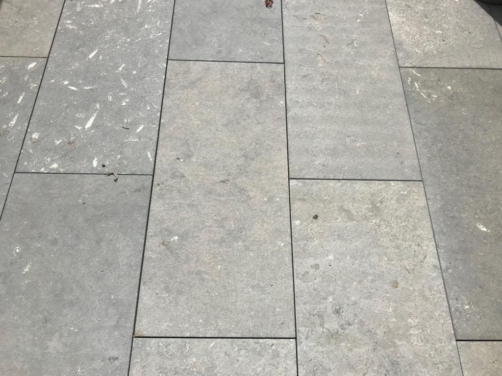 Fossil Gray Limestone | Stone Curators