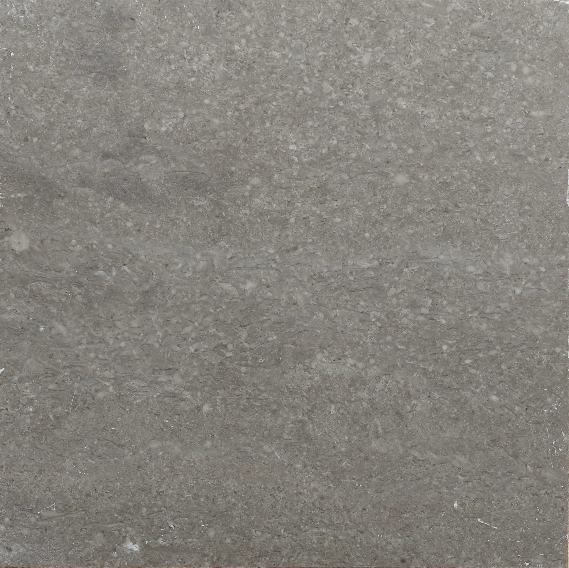Northern Bay Limestone | Stone Curators