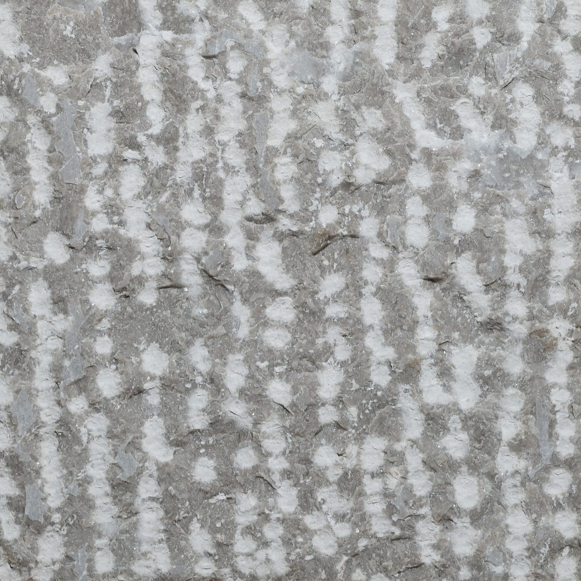 Northern Bay Limestone | Stone Curators