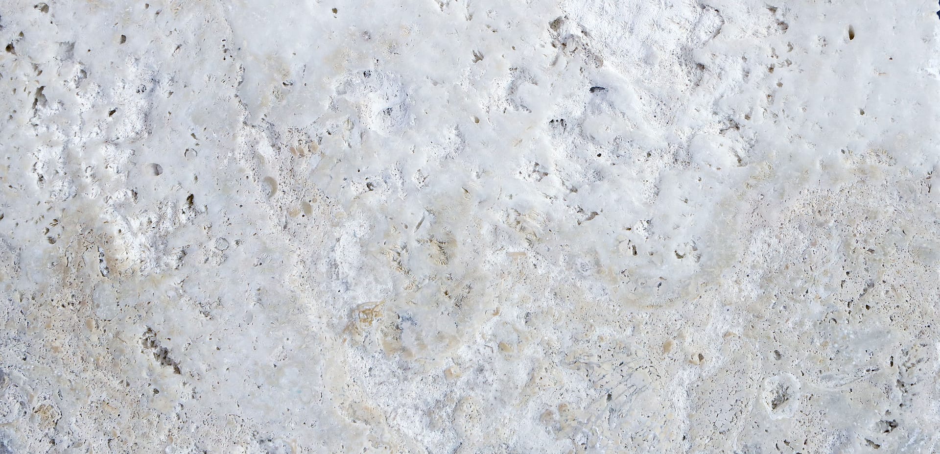 Golden Coral Stone Limestone | Stone Curators