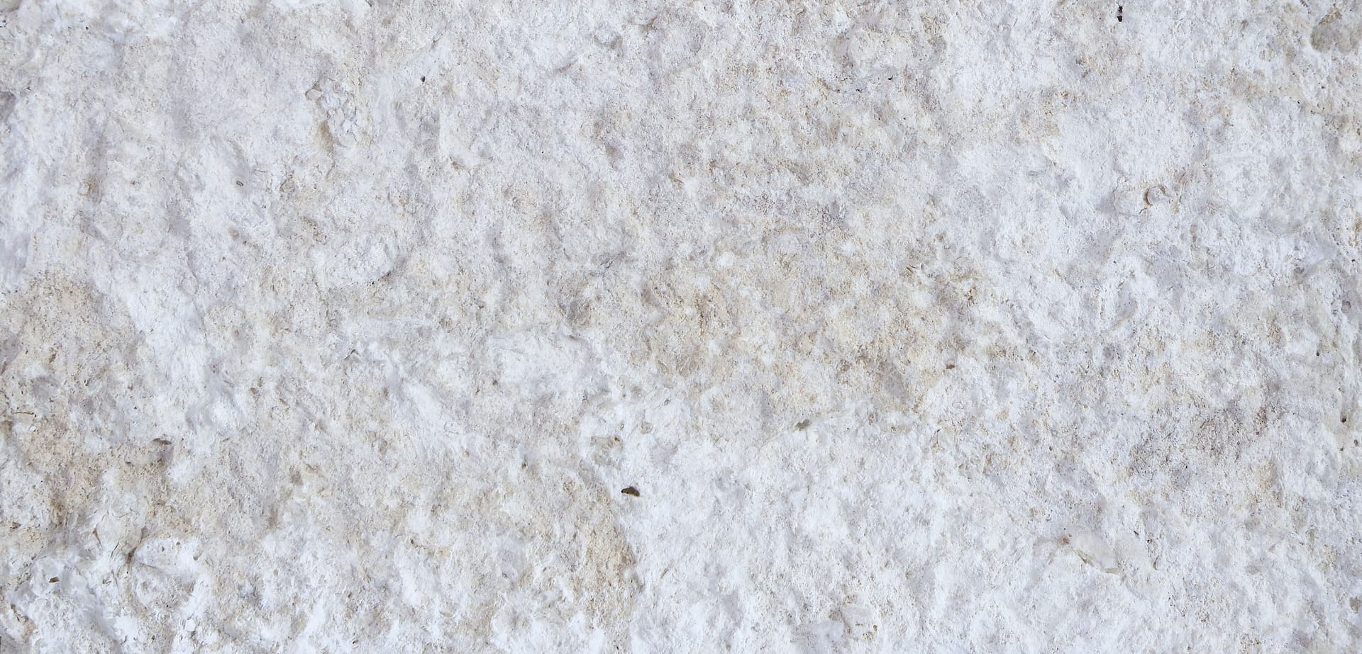Golden Coral Stone Limestone | Stone Curators