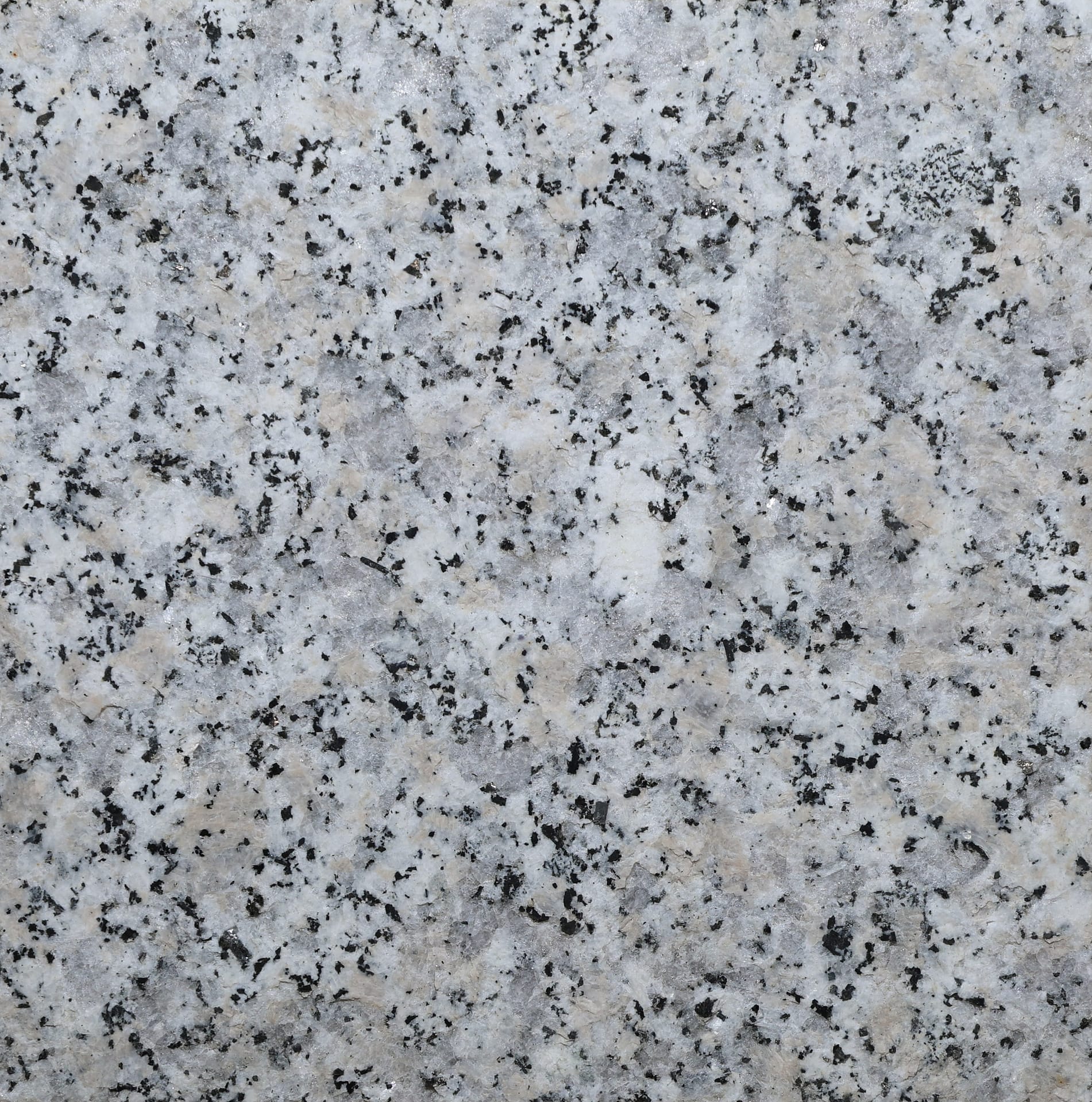 Superior Snow Granite | Stone Curators