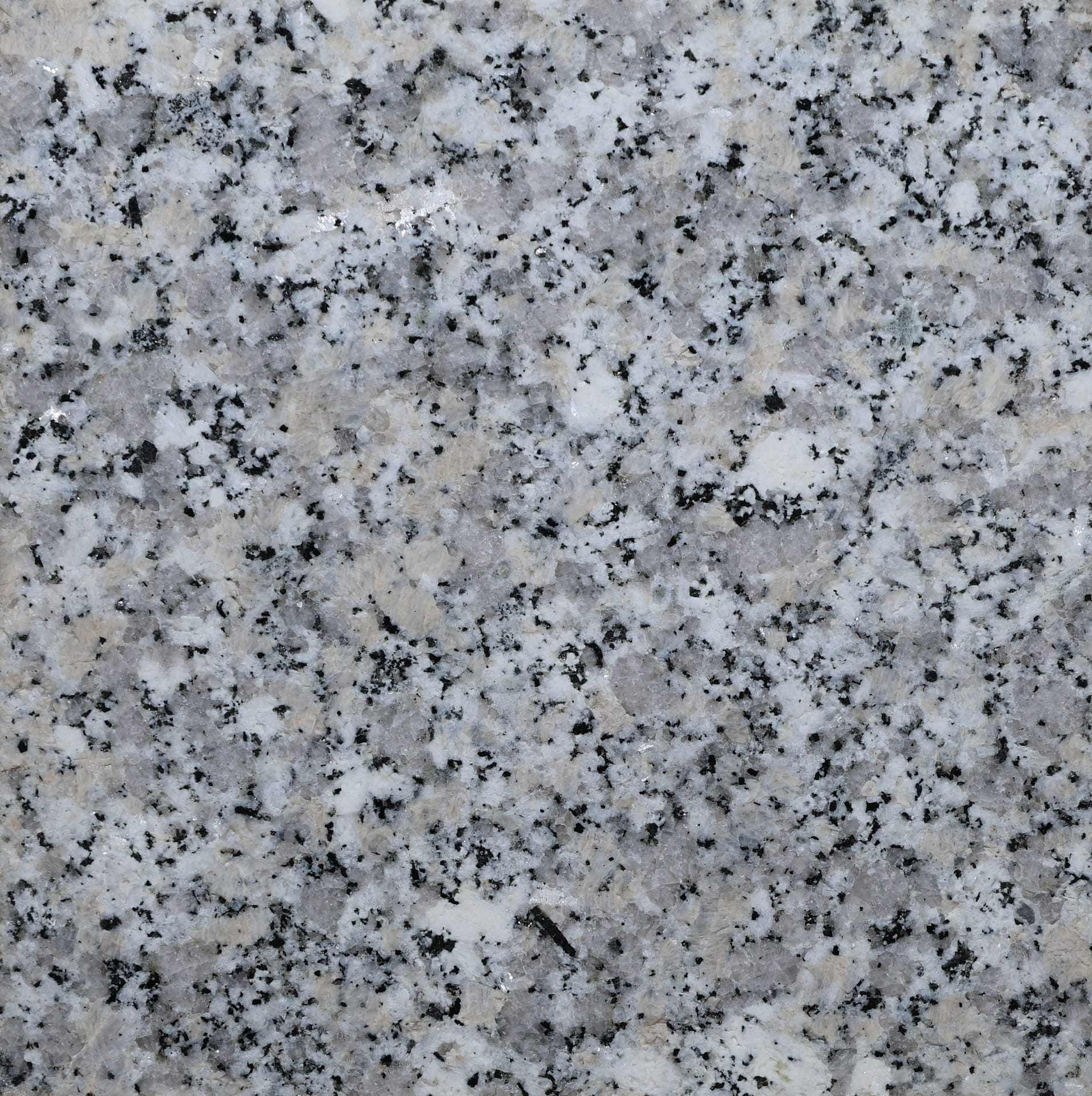 Superior Snow Granite | Stone Curators