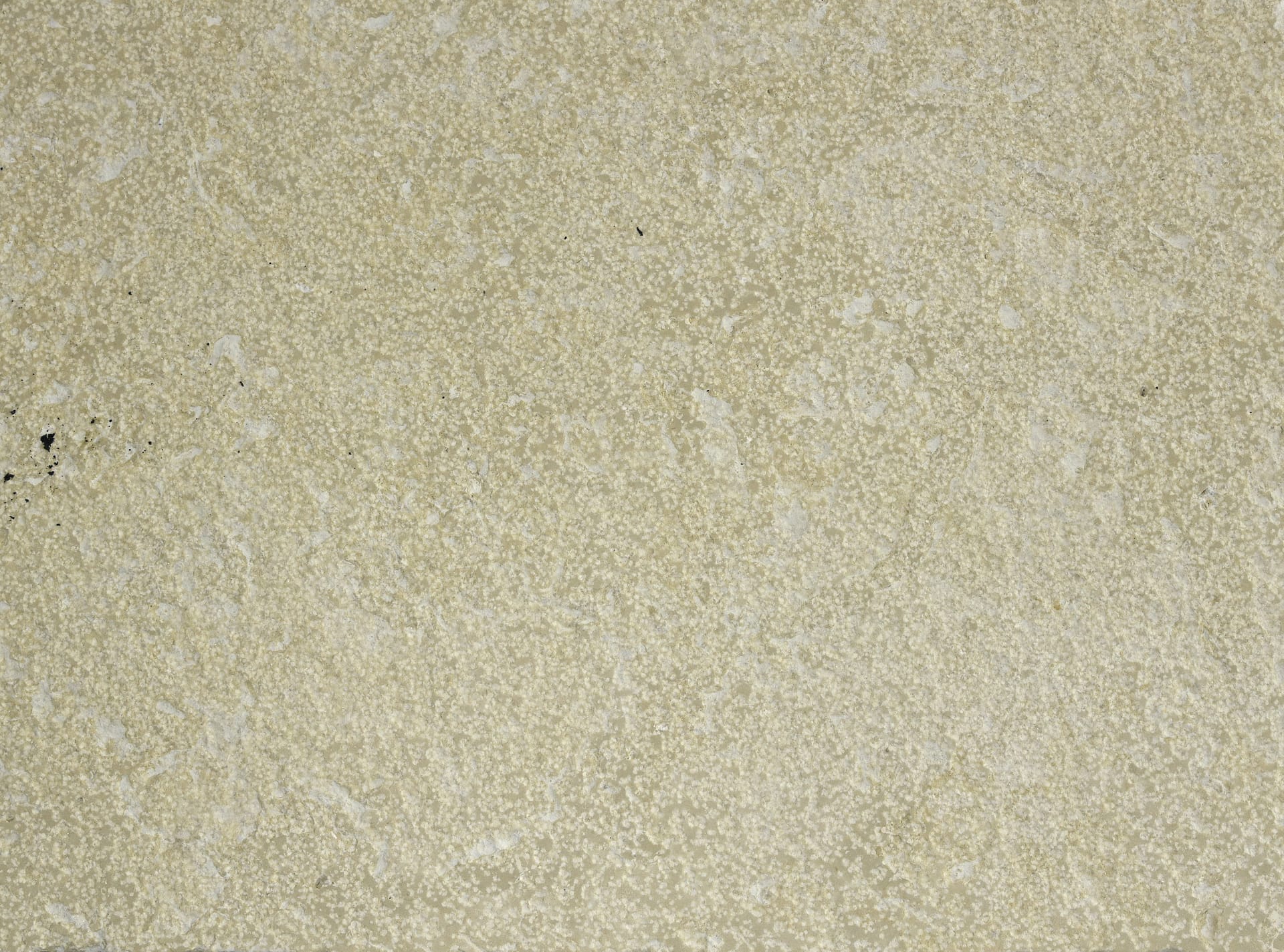 Northern Buff Limestone | Stone Curators