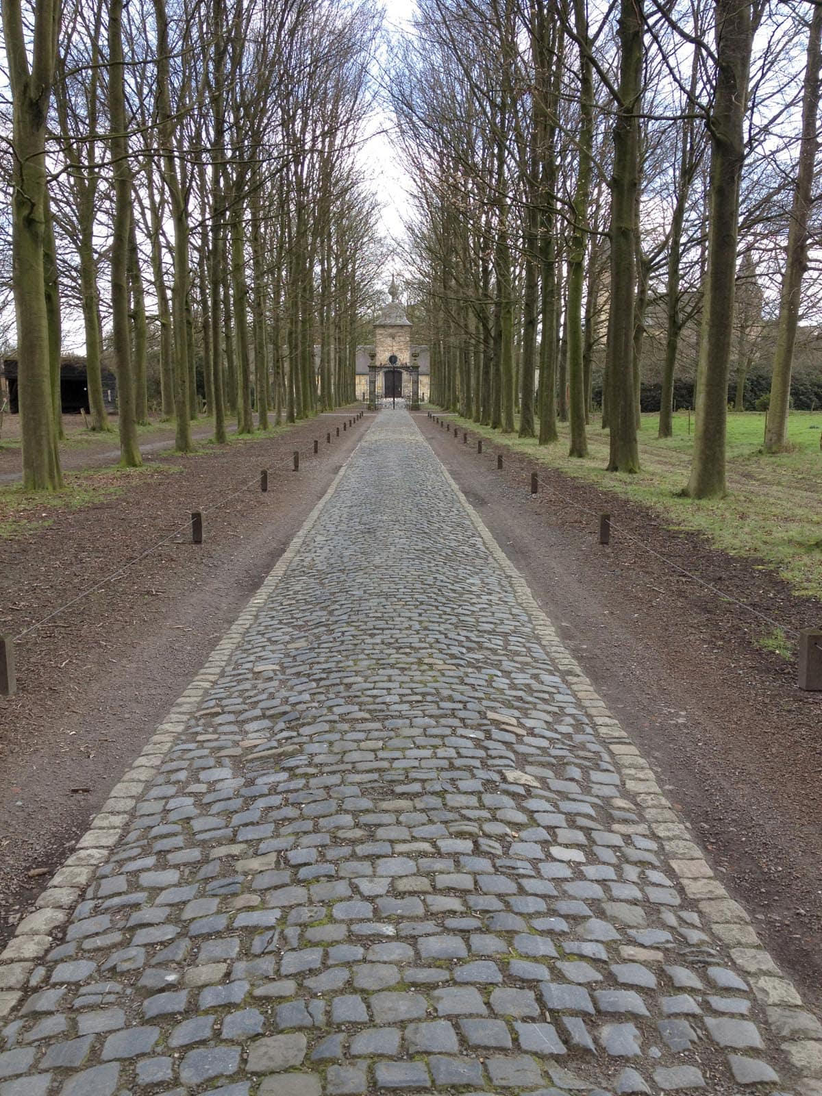 Reclaimed Belgian Bluestone Cobblestones | Stone Curators
