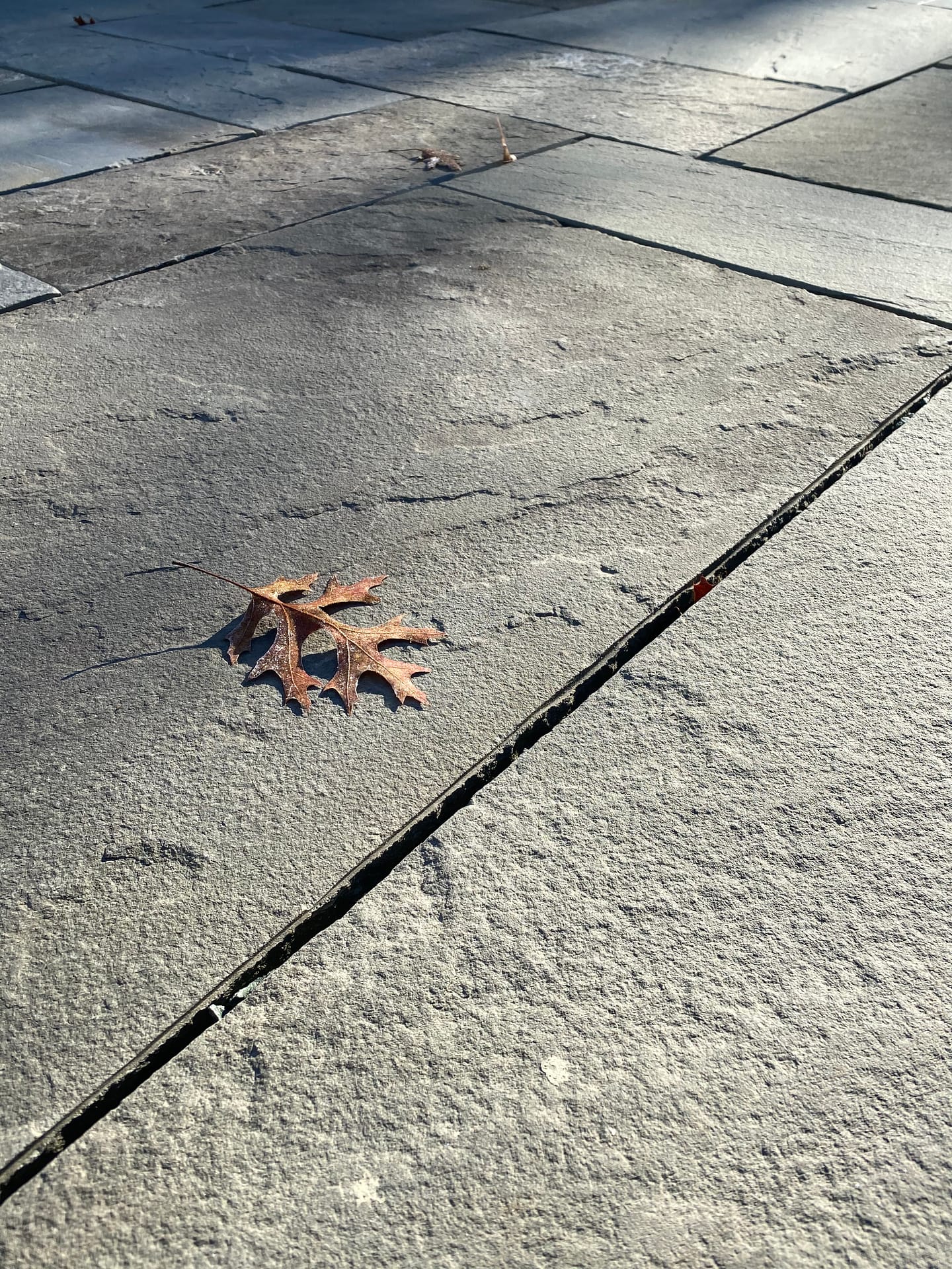 Reclaimed Bluestone | Stone Curators