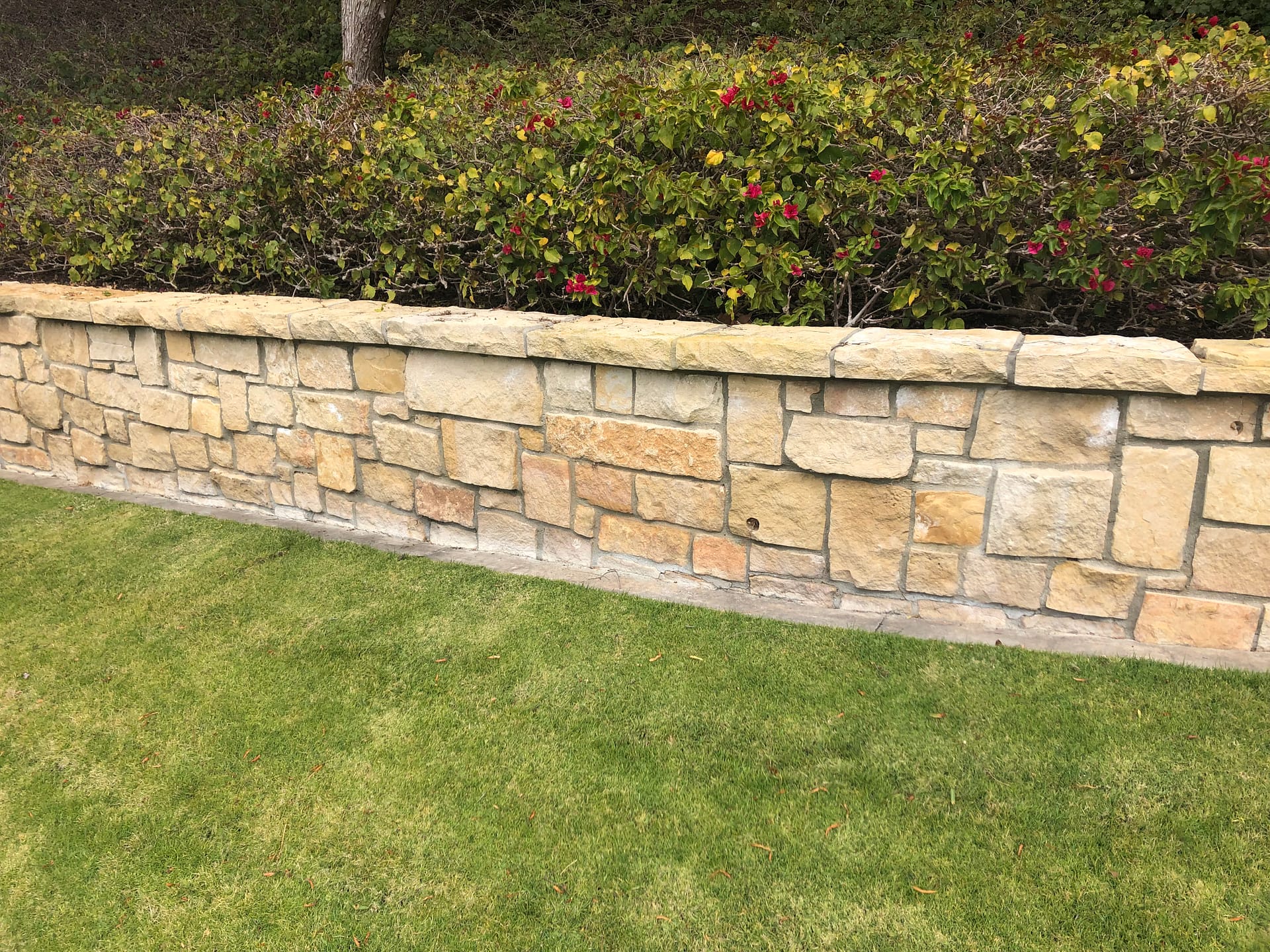 Honey Buff Limestone | Stone Curators