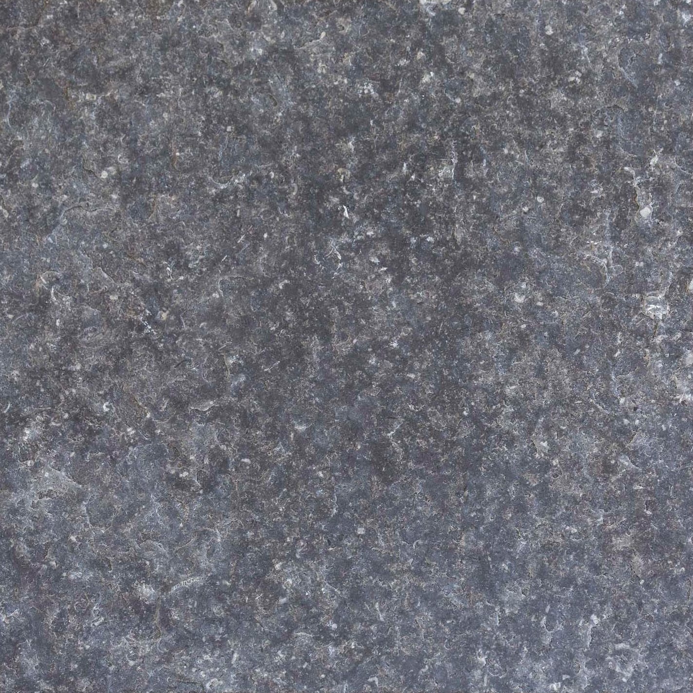 Northern Gray Limestone - Pavers | Stone Curators