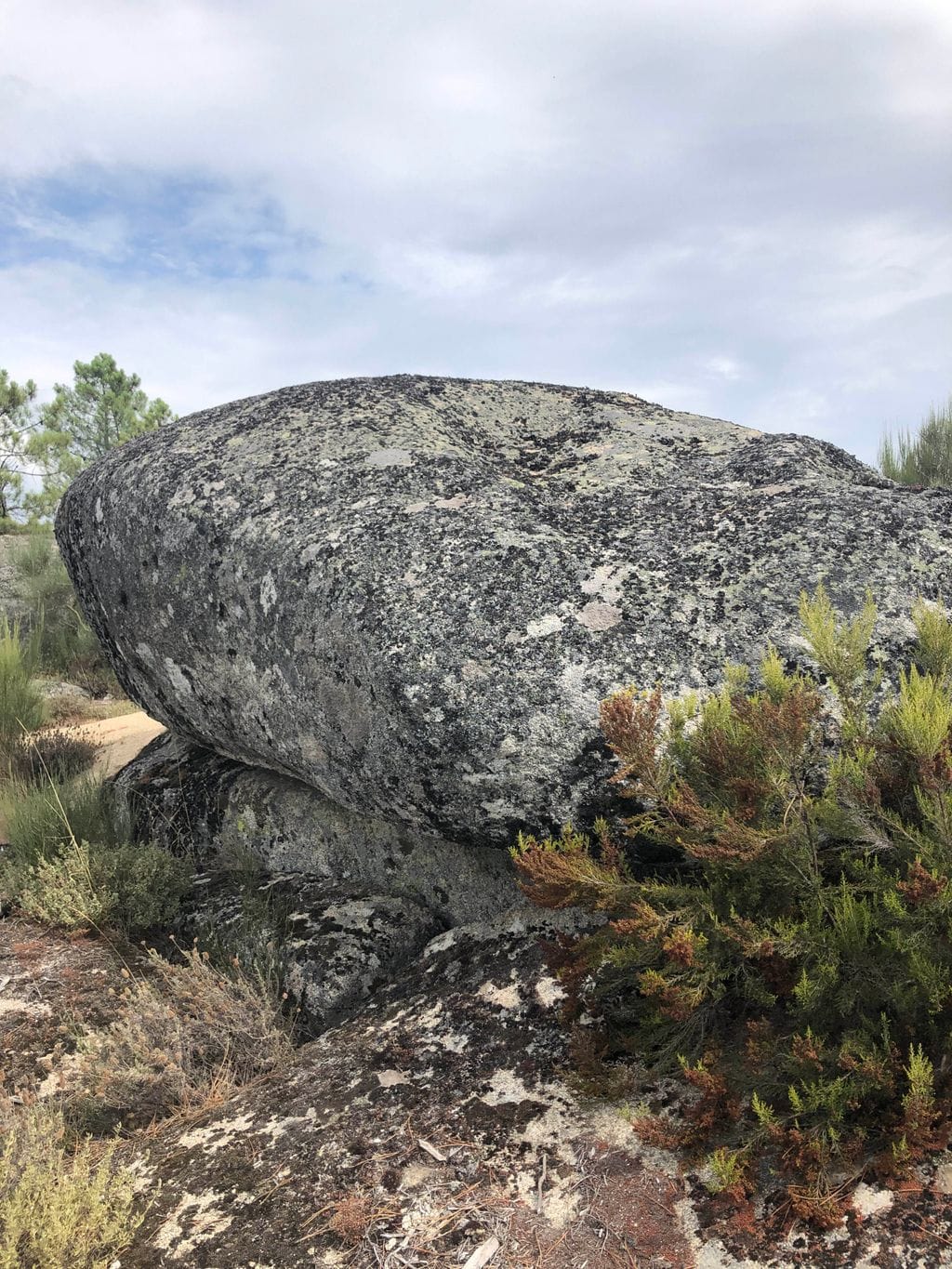 New England Fieldstone - Boulders | Stone Curators