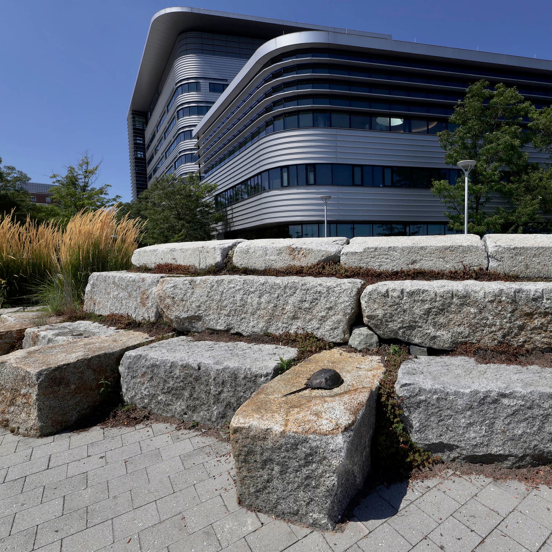 Stone Amphitheater w/ Bridge Blocks | Stone Curators