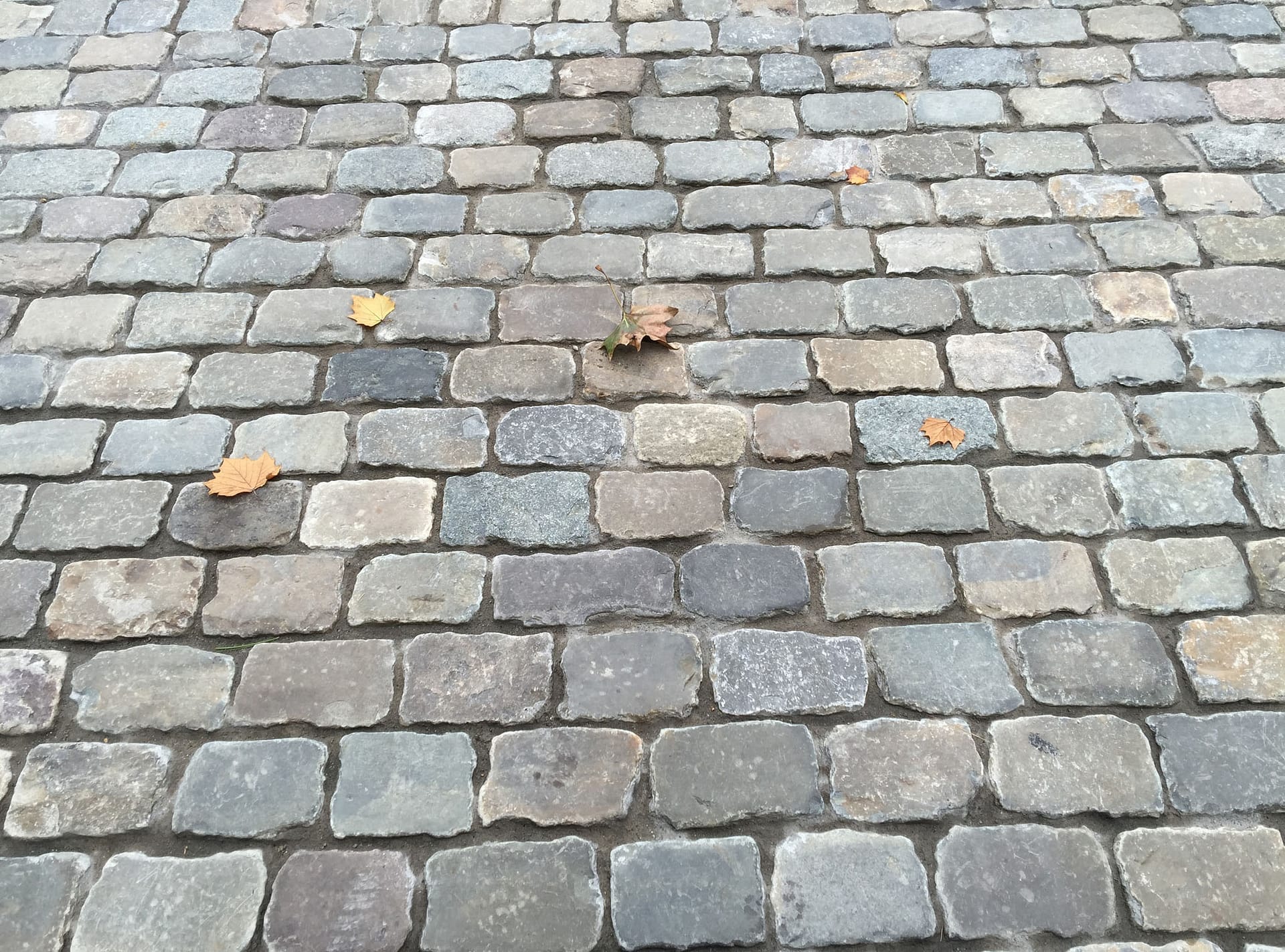 Natural Reclaimed Stone | Stone Curators