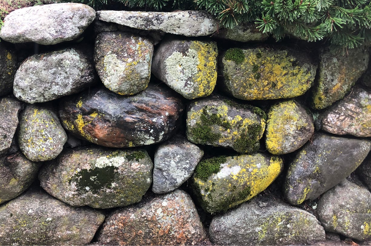 Surface Profile | Stone Curators