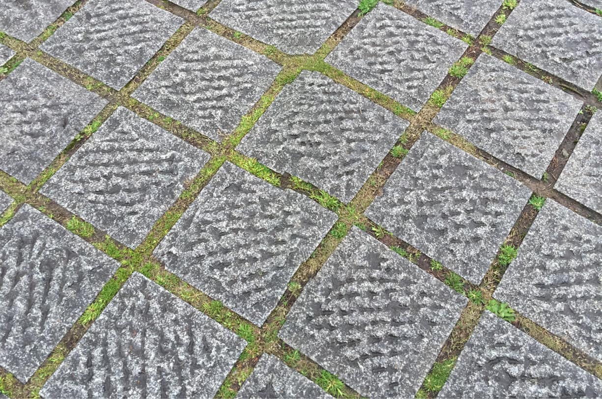 Surface Profile | Stone Curators